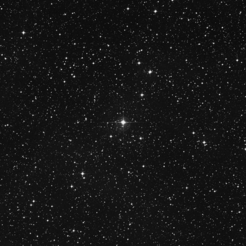 HR2799 - Star in Canis Major | TheSkyLive