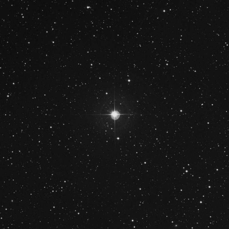 HR2877 - Star in Gemini | TheSkyLive