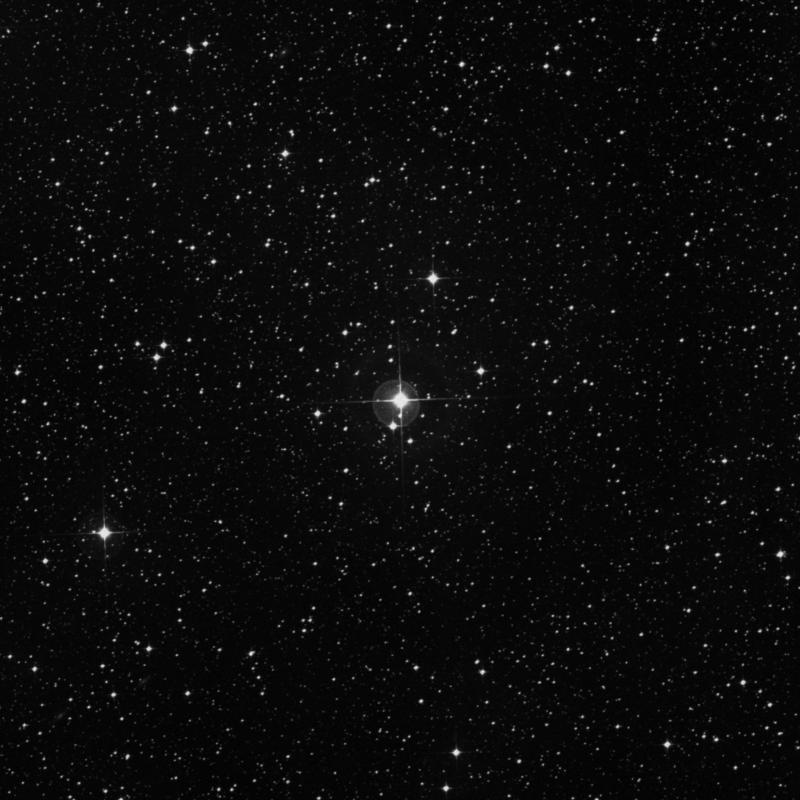 HR2955 - Star in Puppis | TheSkyLive