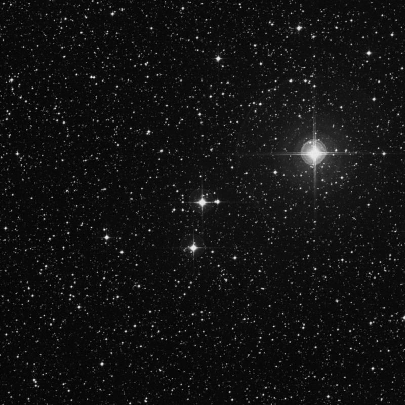 HR2956 - Star in Puppis | TheSkyLive