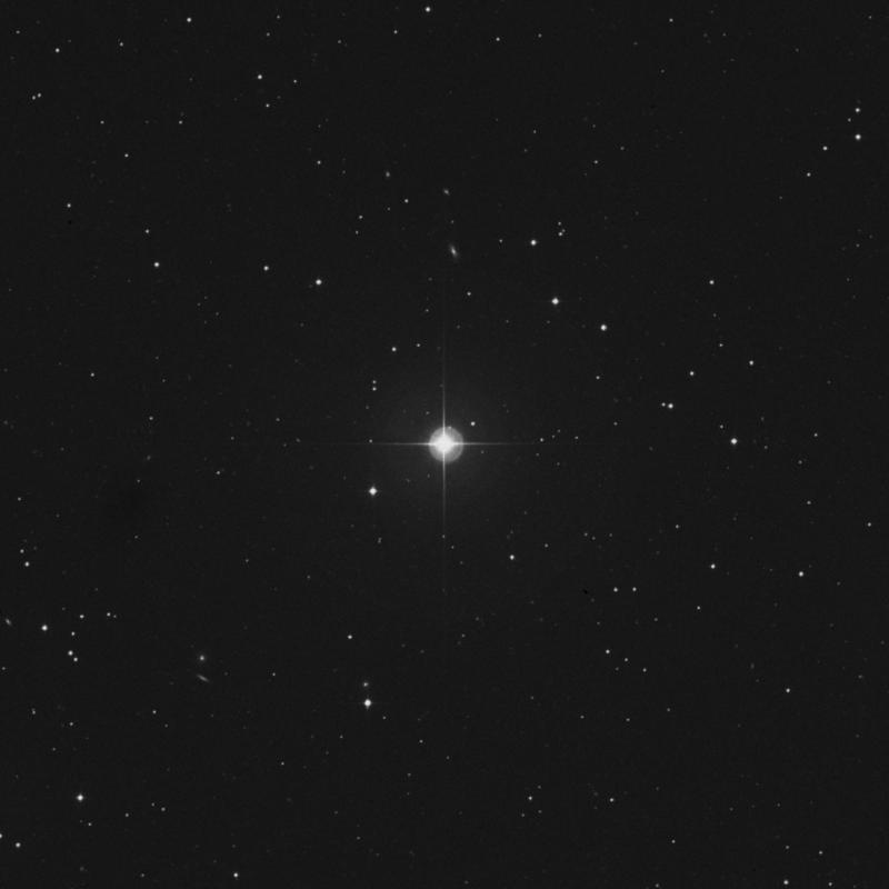 80 Piscium - Star in Pisces | TheSkyLive