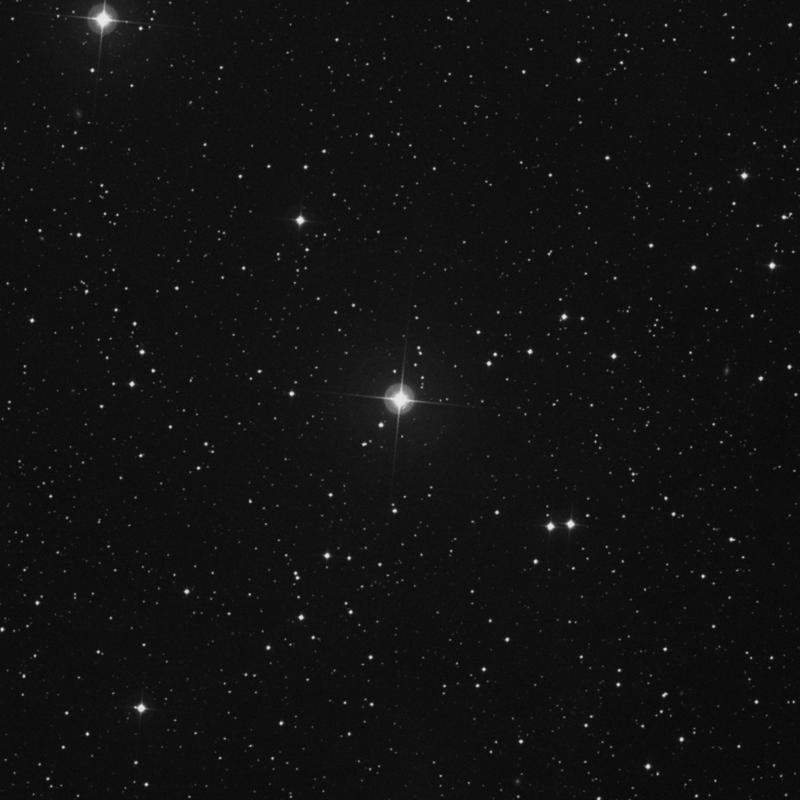HR333 - Star in Cepheus | TheSkyLive