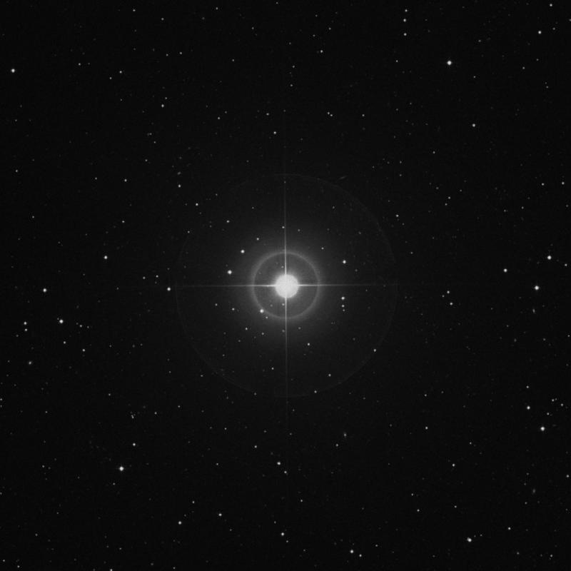 χ Piscium (chi Piscium) - Star in Pisces | TheSkyLive