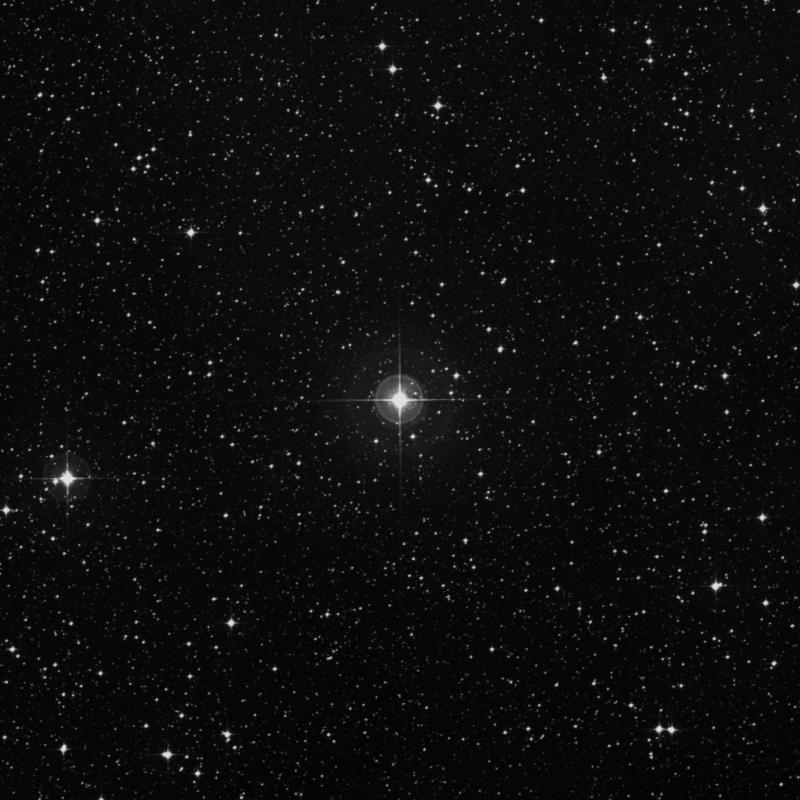 HR3041 - Star in Puppis | TheSkyLive