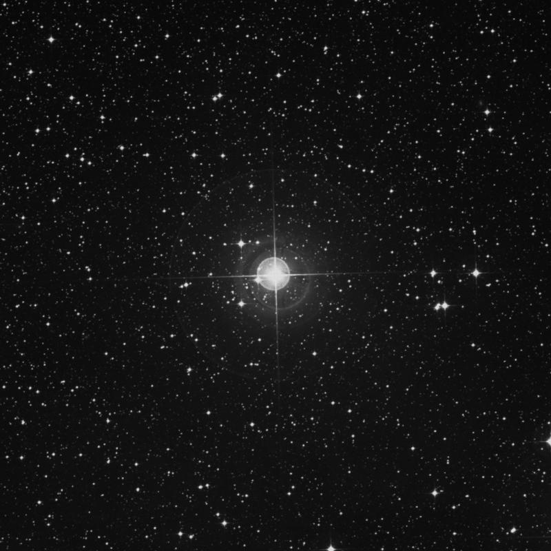 HR3055 - Star in Puppis | TheSkyLive