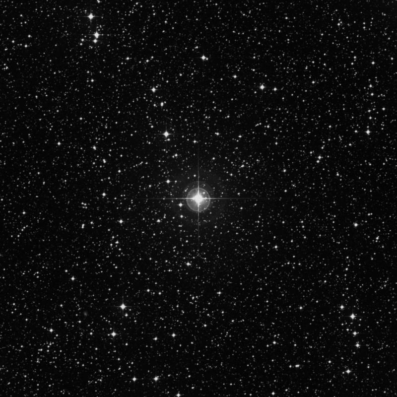 HR3116 - Star in Puppis | TheSkyLive