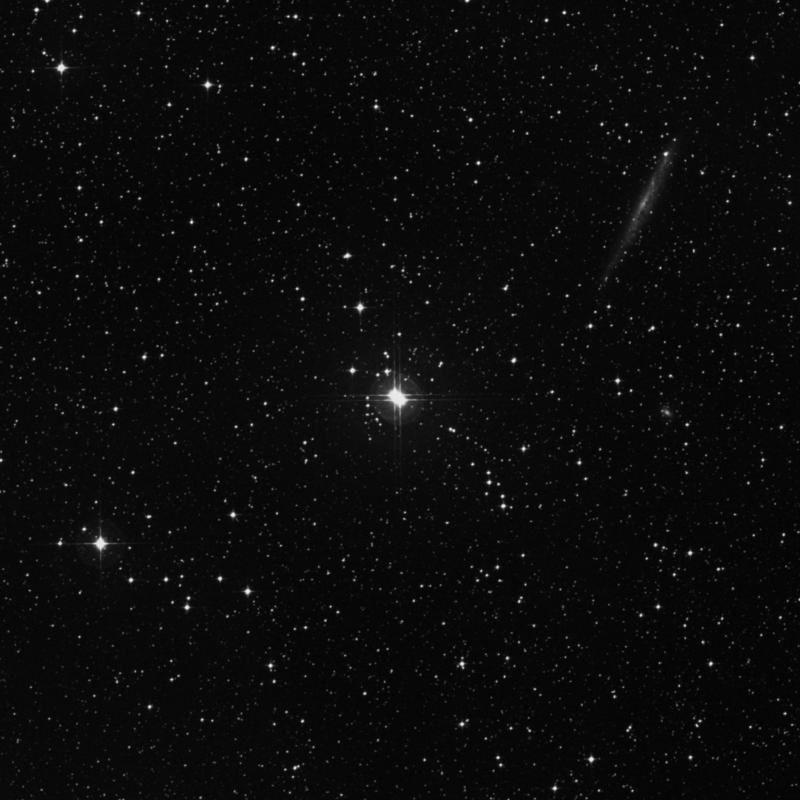 HR3142 - Star in Puppis | TheSkyLive