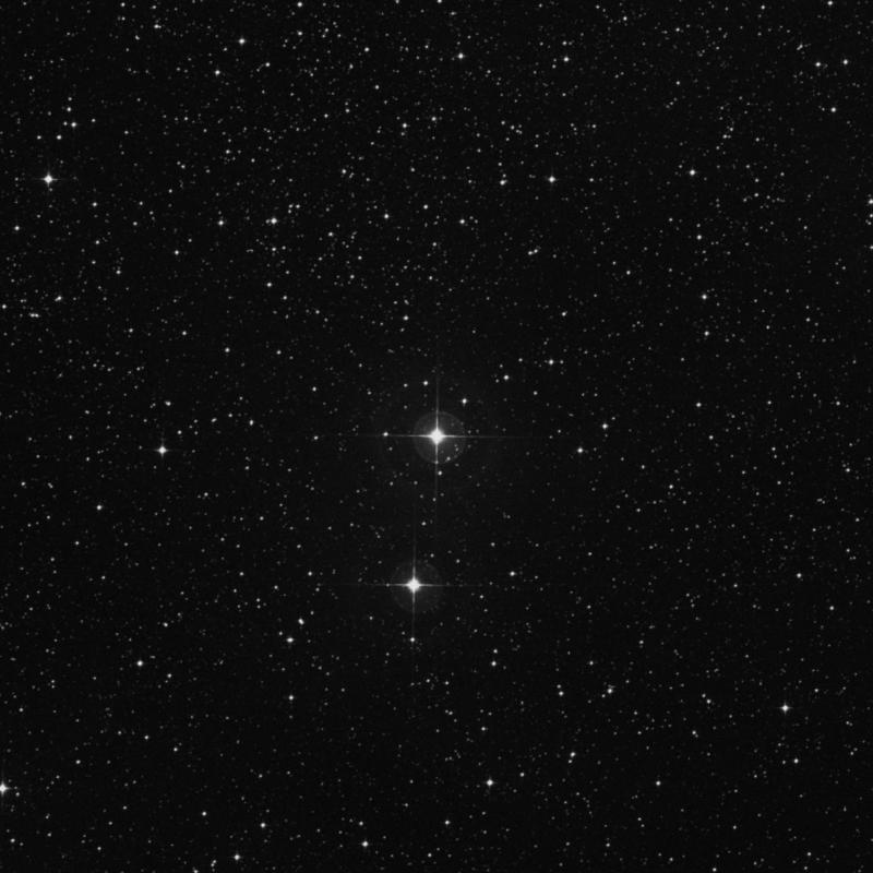 HR3286 - Star in Puppis | TheSkyLive