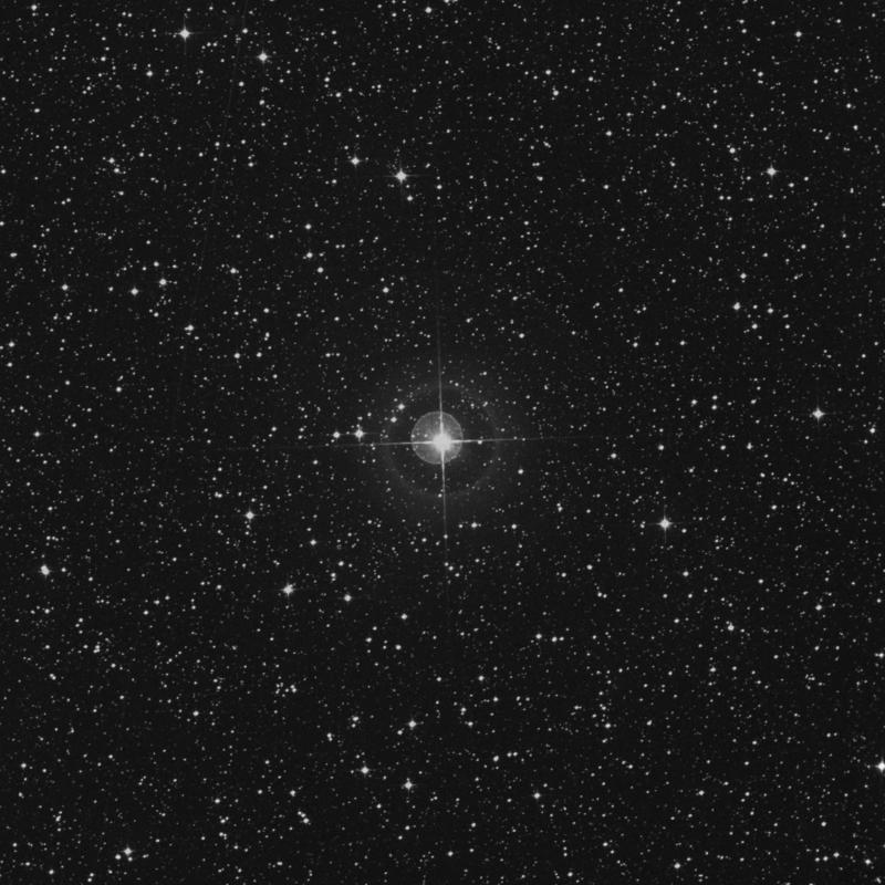 HR3726 - Star in Vela | TheSkyLive