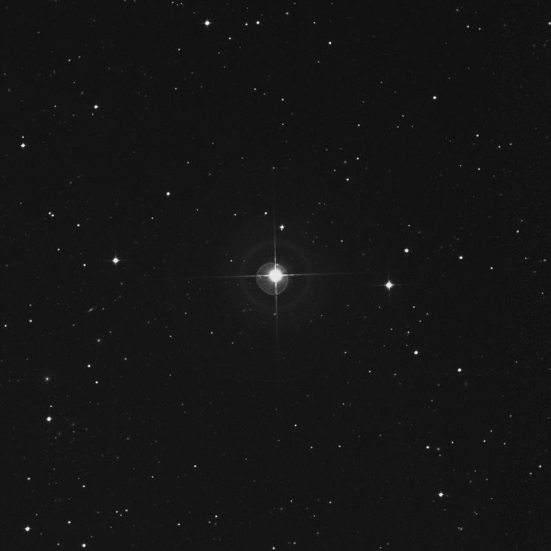 HR423 - Star in Sculptor | TheSkyLive