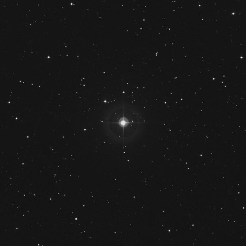 97 Piscium - Star in Pisces | TheSkyLive