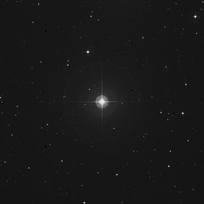 HR441 - Star in Sculptor | TheSkyLive