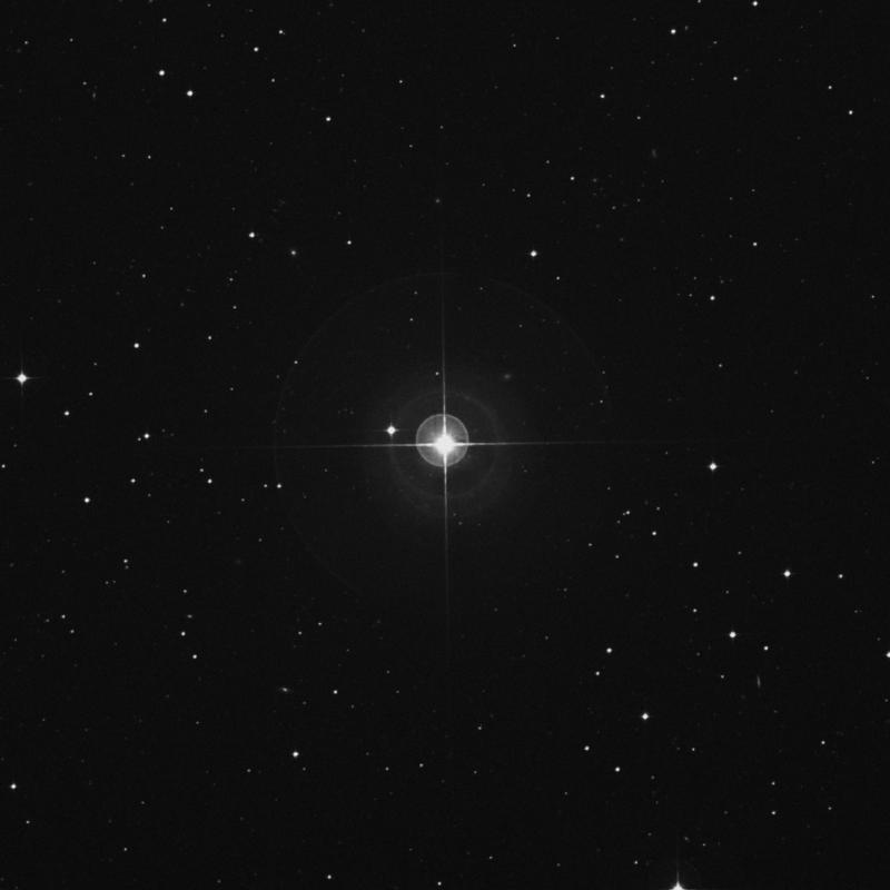 HR445 - Star in Sculptor | TheSkyLive
