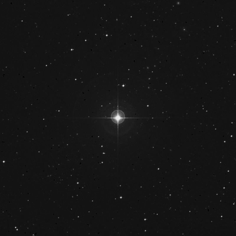 HR453 - Star in Sculptor | TheSkyLive