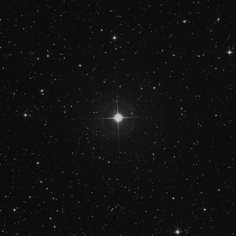 χ Andromedae (chi Andromedae) - Star in Andromeda | TheSkyLive