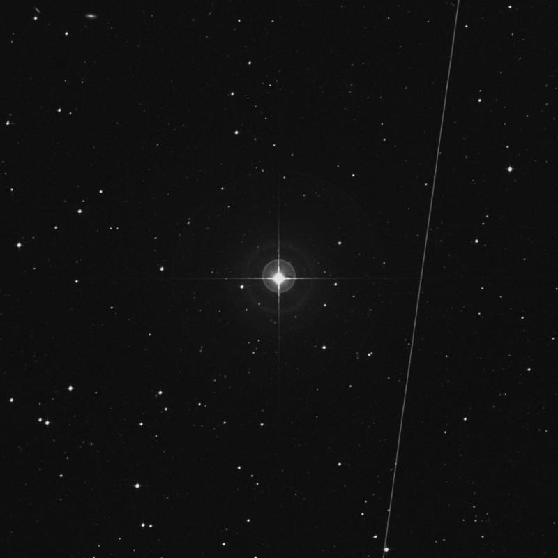 HR471 - Star in Sculptor | TheSkyLive