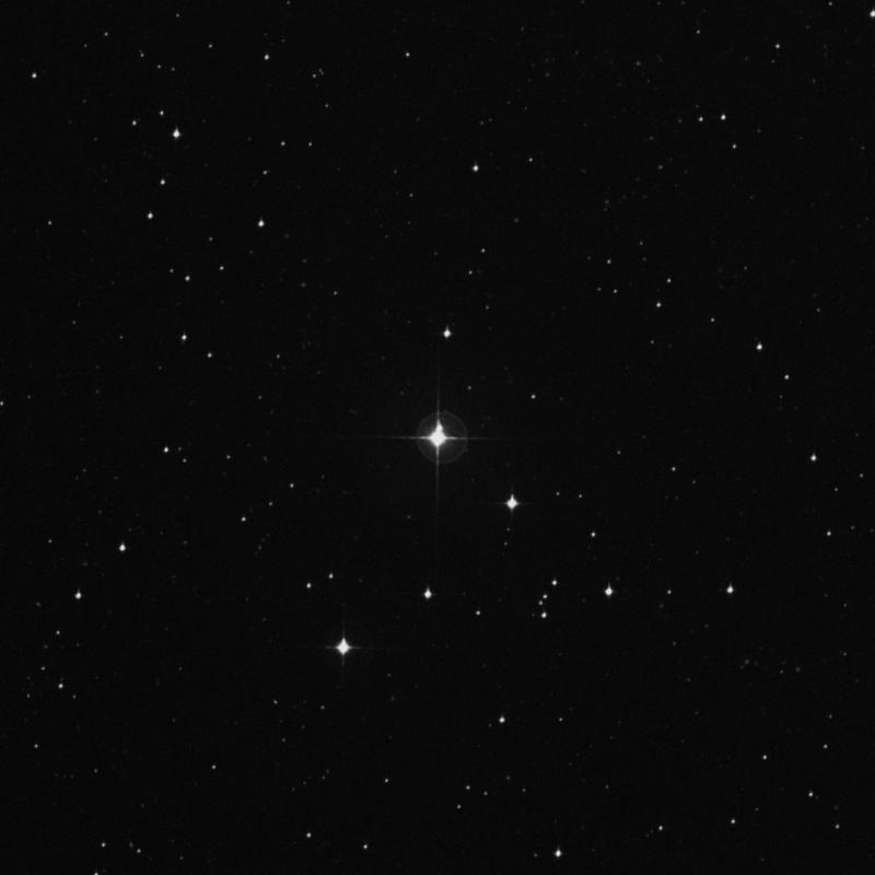 HR474 - Star in Sculptor | TheSkyLive