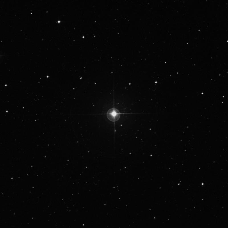 HR494 - Star in Sculptor | TheSkyLive