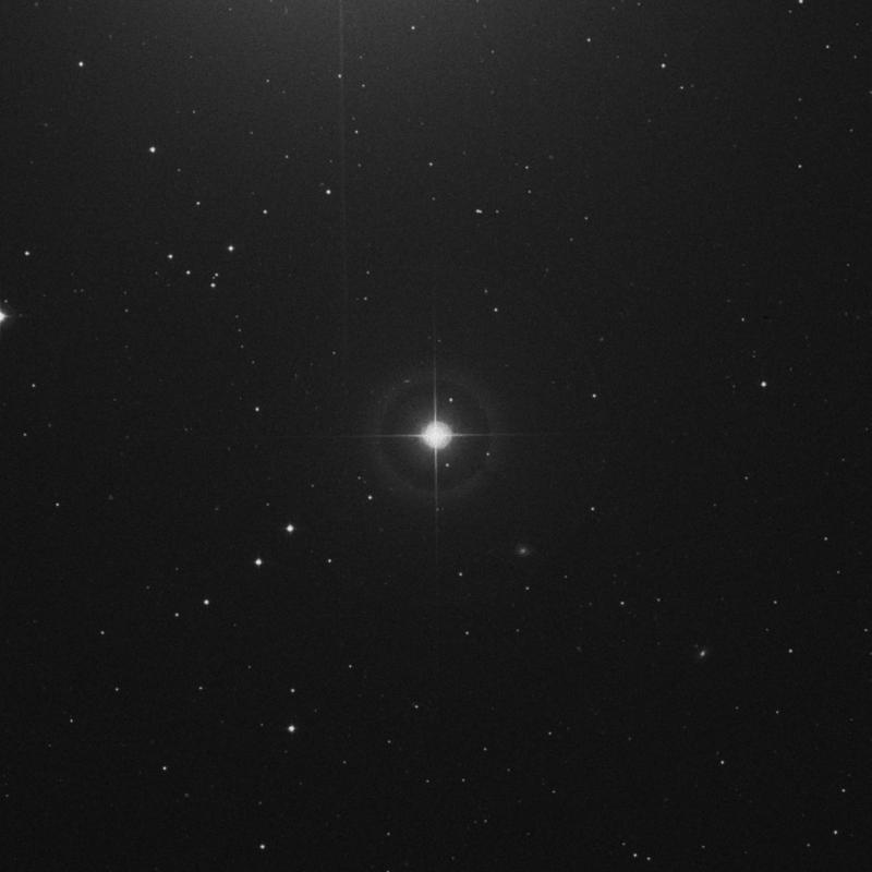 40 Leonis - Star in Leo | TheSkyLive