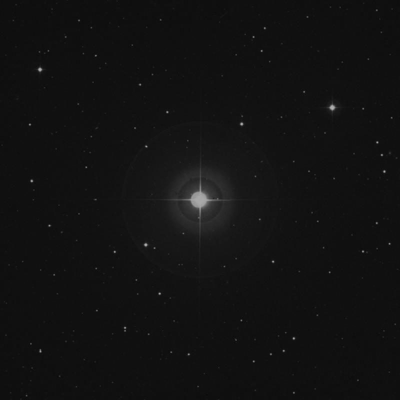 ρ Leonis (rho Leonis) - Star in Leo | TheSkyLive
