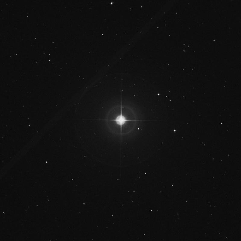 54 Leonis - Star in Leo | TheSkyLive