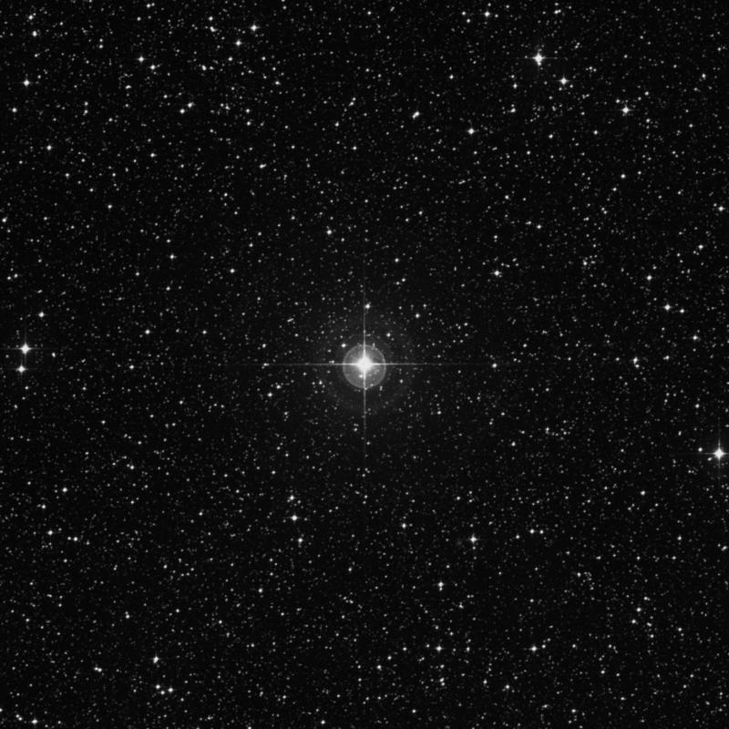 HR4460 - Star in Centaurus | TheSkyLive