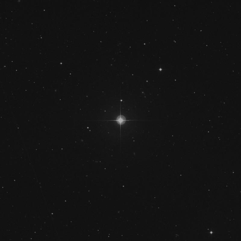 4 Virginis - Star in Virgo | TheSkyLive