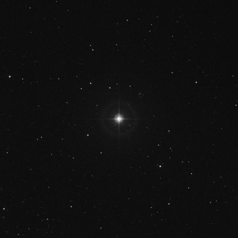 7 Virginis - Star in Virgo | TheSkyLive