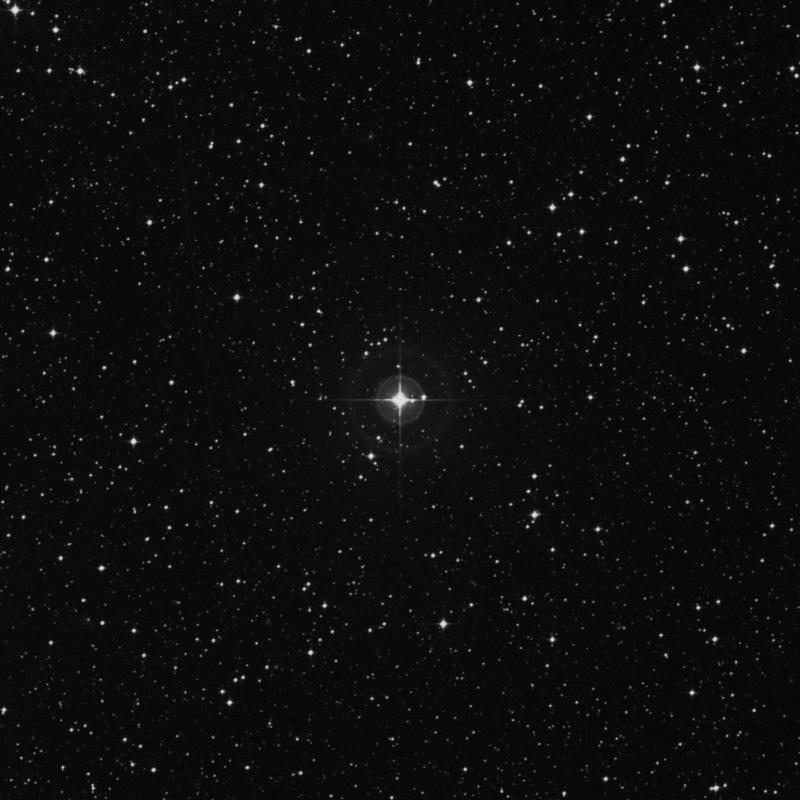 HR4636 - Star in Centaurus | TheSkyLive