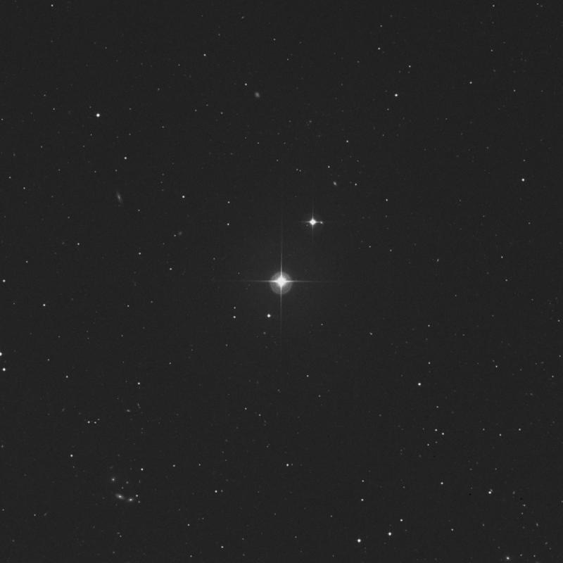 7 Canum Venaticorum - Star in Canes Venatici | TheSkyLive