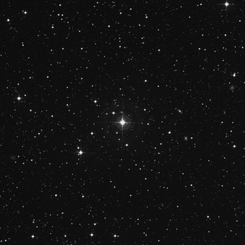 HR4836 - Star in Centaurus | TheSkyLive