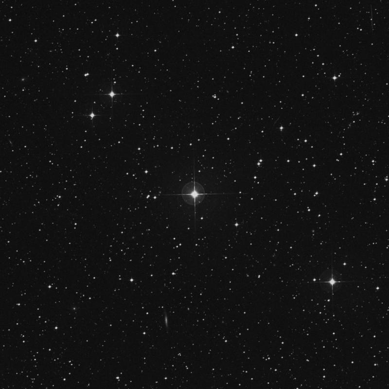 HR4838 - Star in Centaurus | TheSkyLive