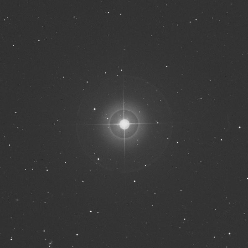 La Superba - HR4846 - Star in Canes Venatici | TheSkyLive