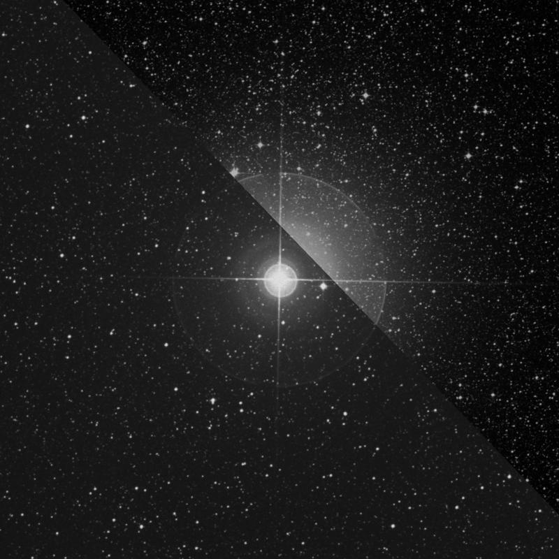 Mimosa - β Crucis (beta Crucis) - Star in Crux | TheSkyLive