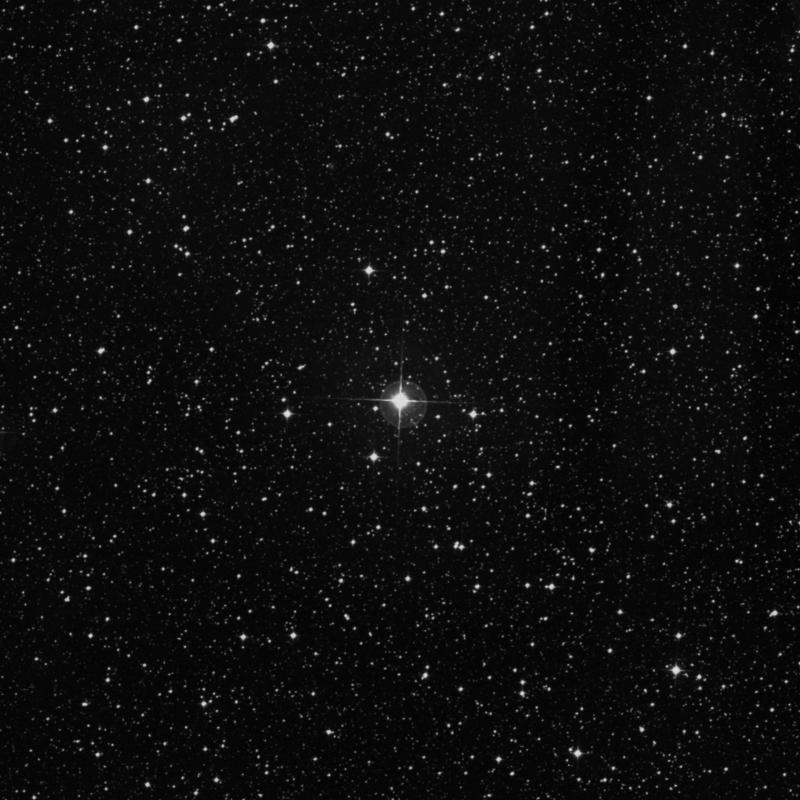 HR4882 - Star in Centaurus | TheSkyLive