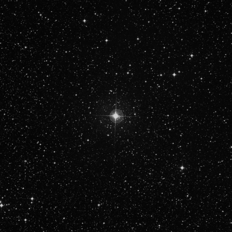 HR4885 - Star in Centaurus | TheSkyLive