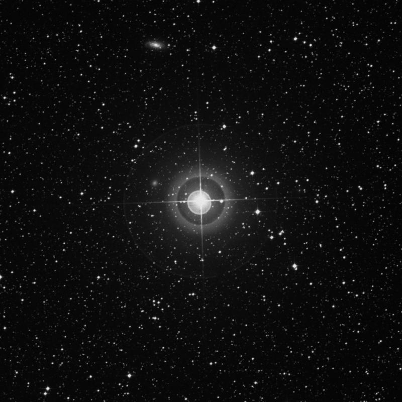 HR4888 - Star in Centaurus | TheSkyLive