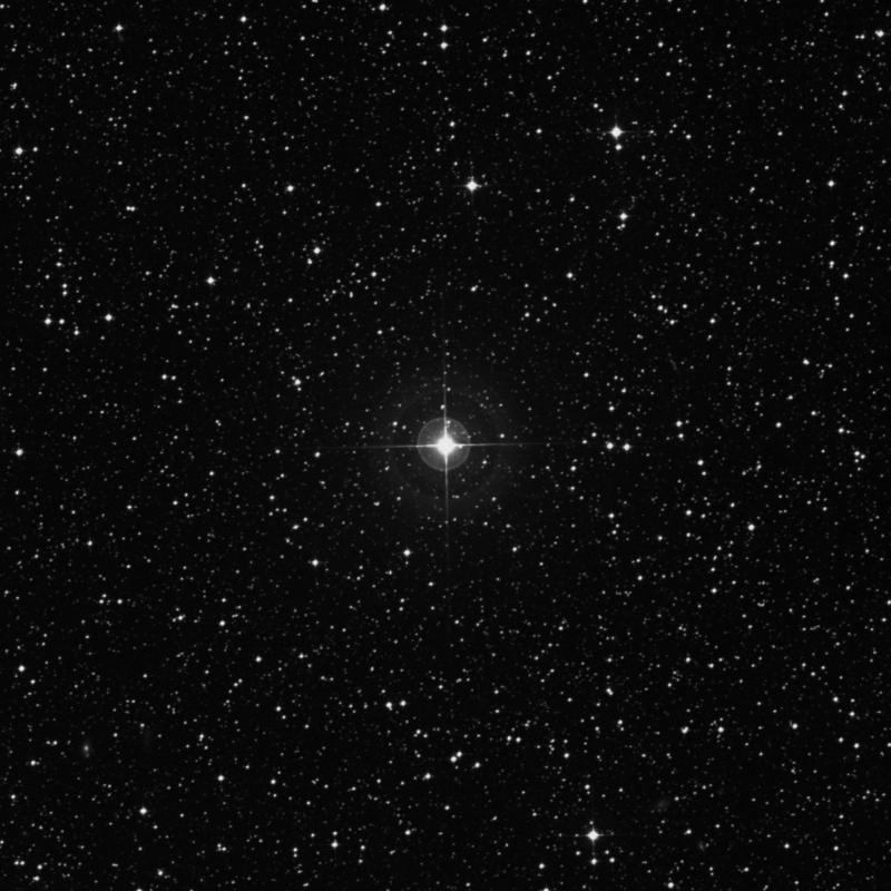 HR4913 - Star in Centaurus | TheSkyLive