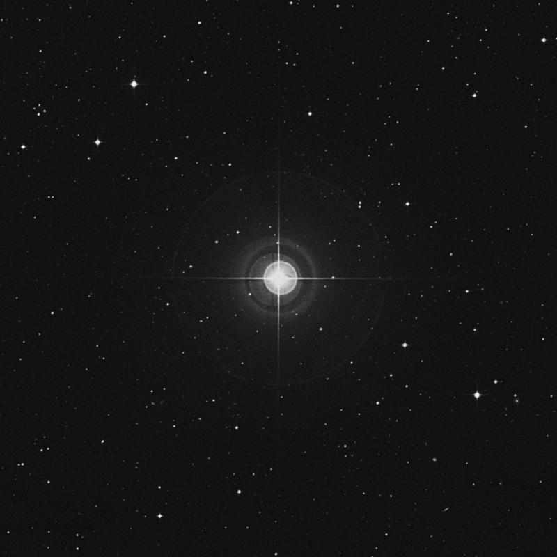 49 Virginis - Star in Virgo | TheSkyLive