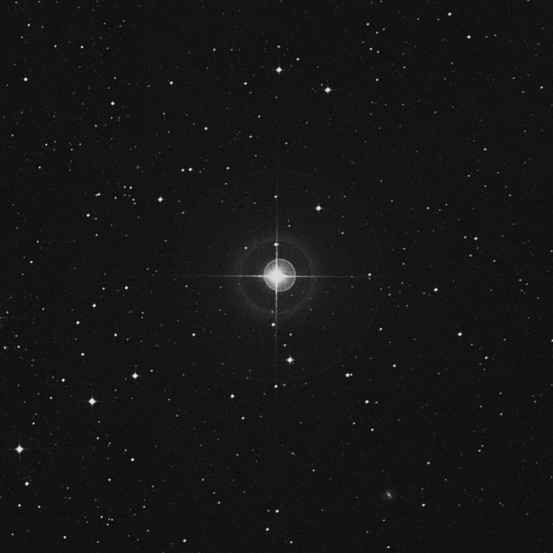 53 Virginis - Star in Virgo | TheSkyLive