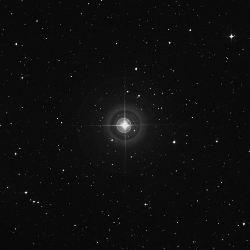 55 Virginis - Star in Virgo | TheSkyLive