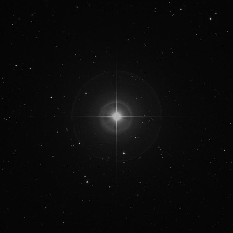 Torcular - ο Piscium (omicron Piscium) - Star in Pisces | TheSkyLive