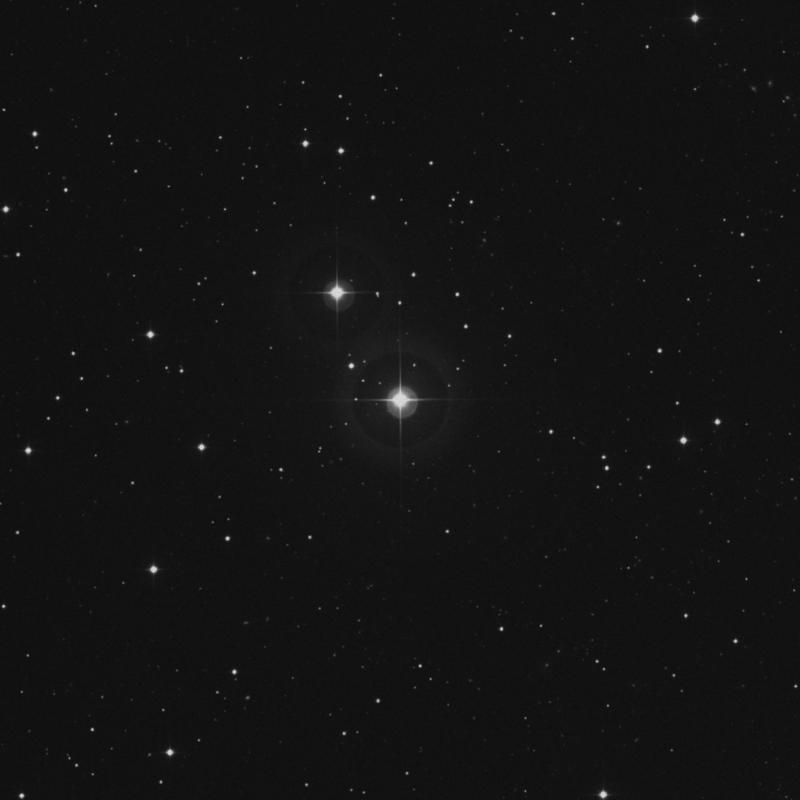 4 Arietis - Star in Aries | TheSkyLive