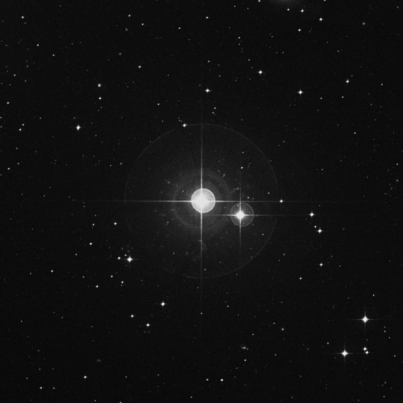χ Ceti (chi Ceti) - Star in Cetus | TheSkyLive