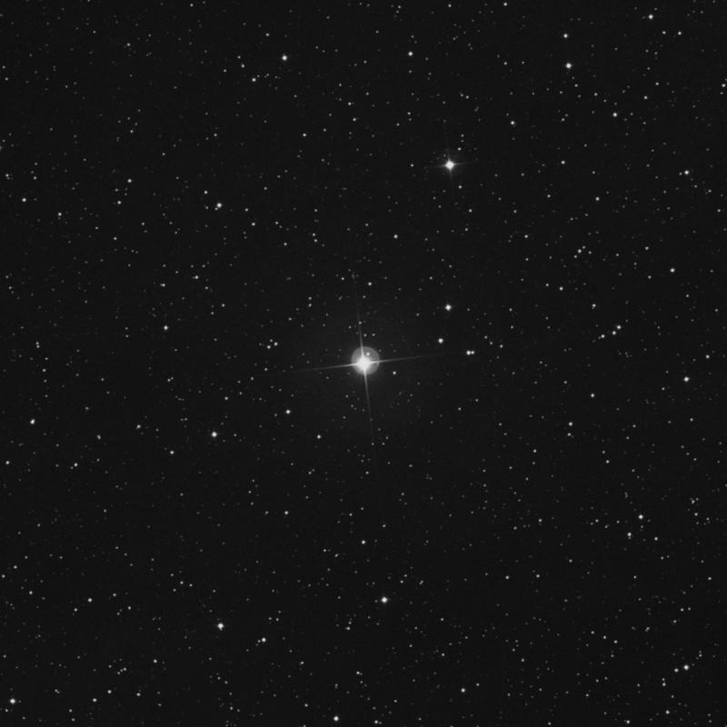 HR572 - Star in Cepheus | TheSkyLive