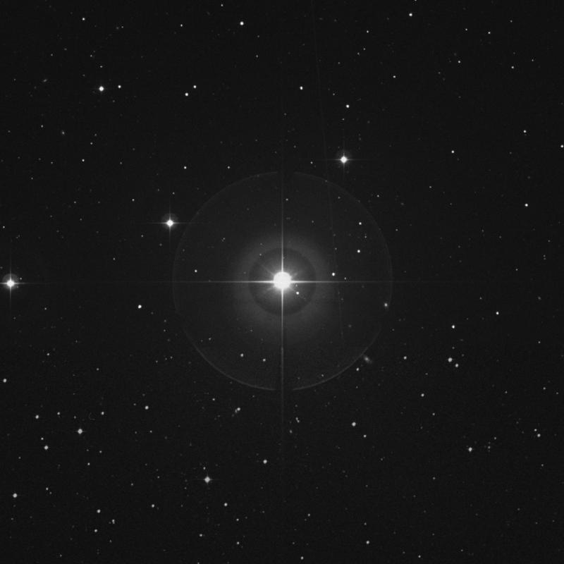 α Piscium (alpha Piscium) - Star in Pisces | TheSkyLive