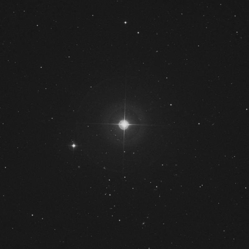 20 Canum Venaticorum - Star in Canes Venatici | TheSkyLive