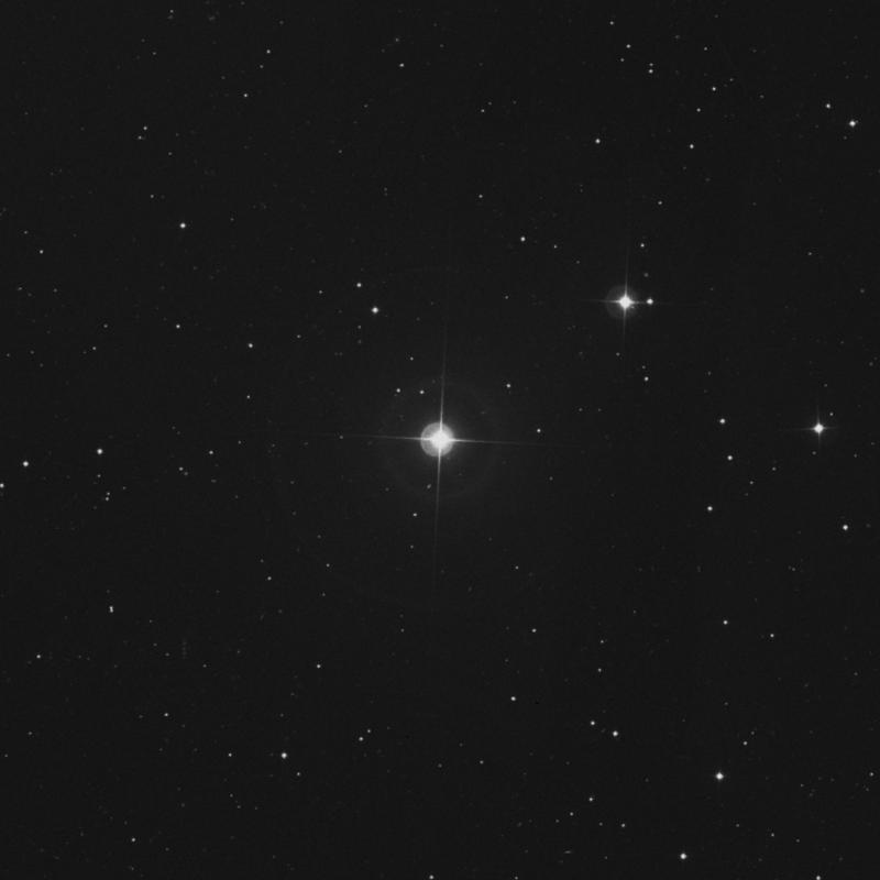 21 Canum Venaticorum - Star in Canes Venatici | TheSkyLive