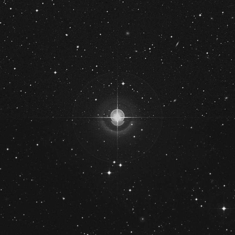 63 Virginis - Star in Virgo | TheSkyLive