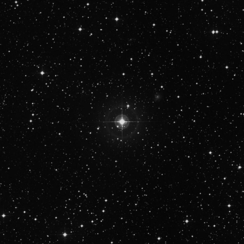 HR5065 - Star in Centaurus | TheSkyLive